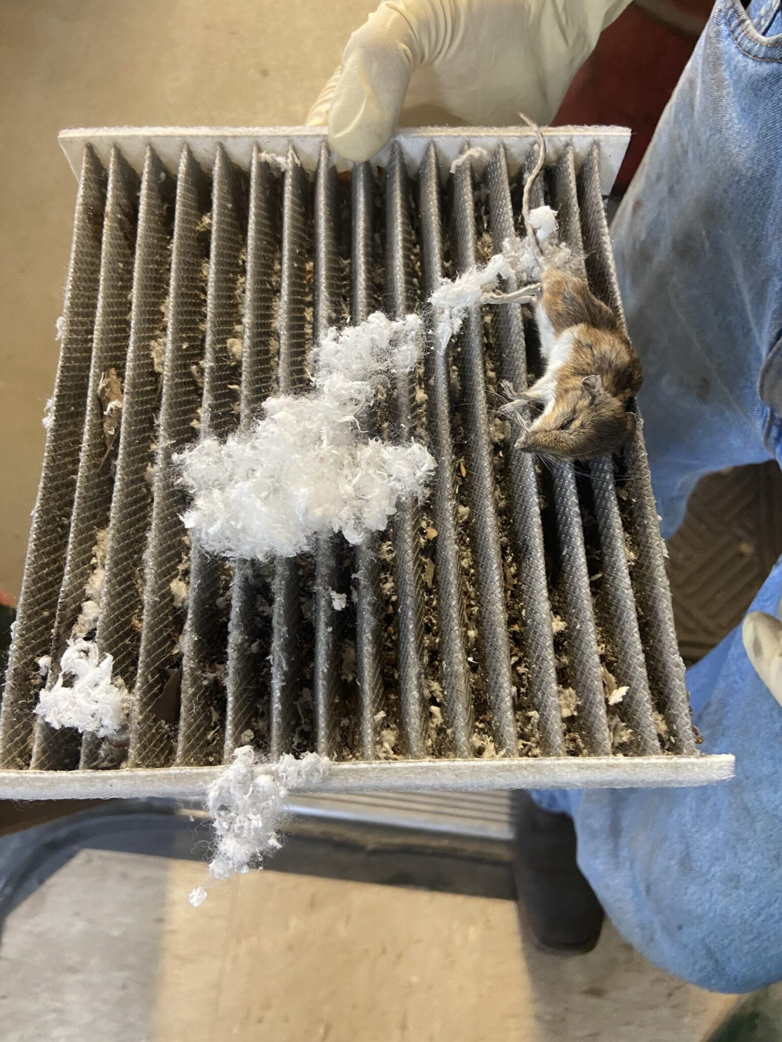 Summer Auto Maintenance Checklist | Global Automotive